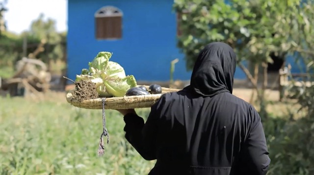 She Farms: Women's rooftop gardens in Aswan - Aga Khan Foundation